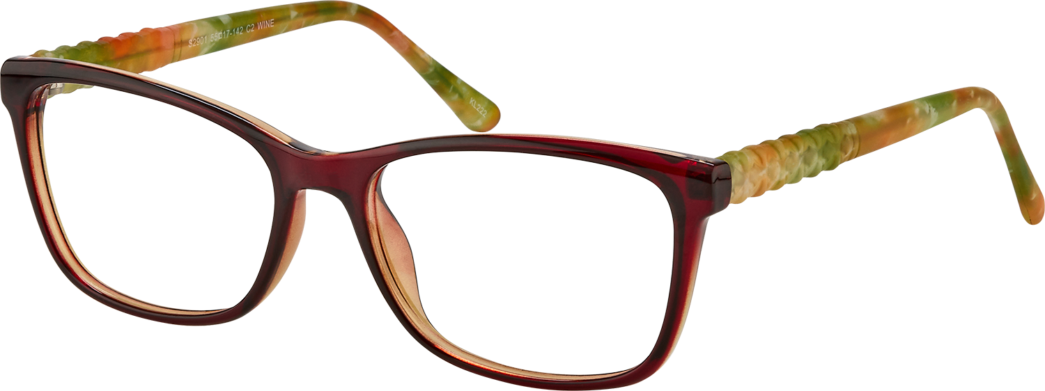 Visionary Glasses by 39DollarGlasses.com