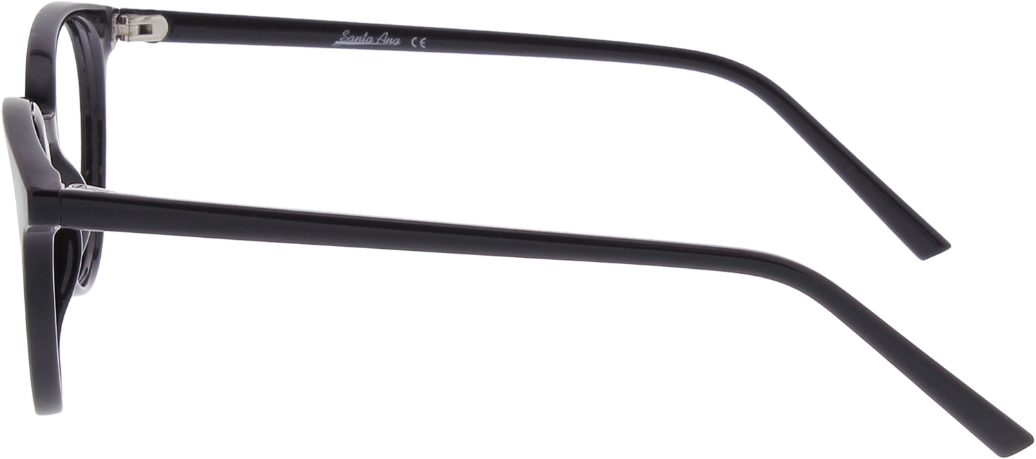 Carlton Glasses by 39DollarGlasses.com