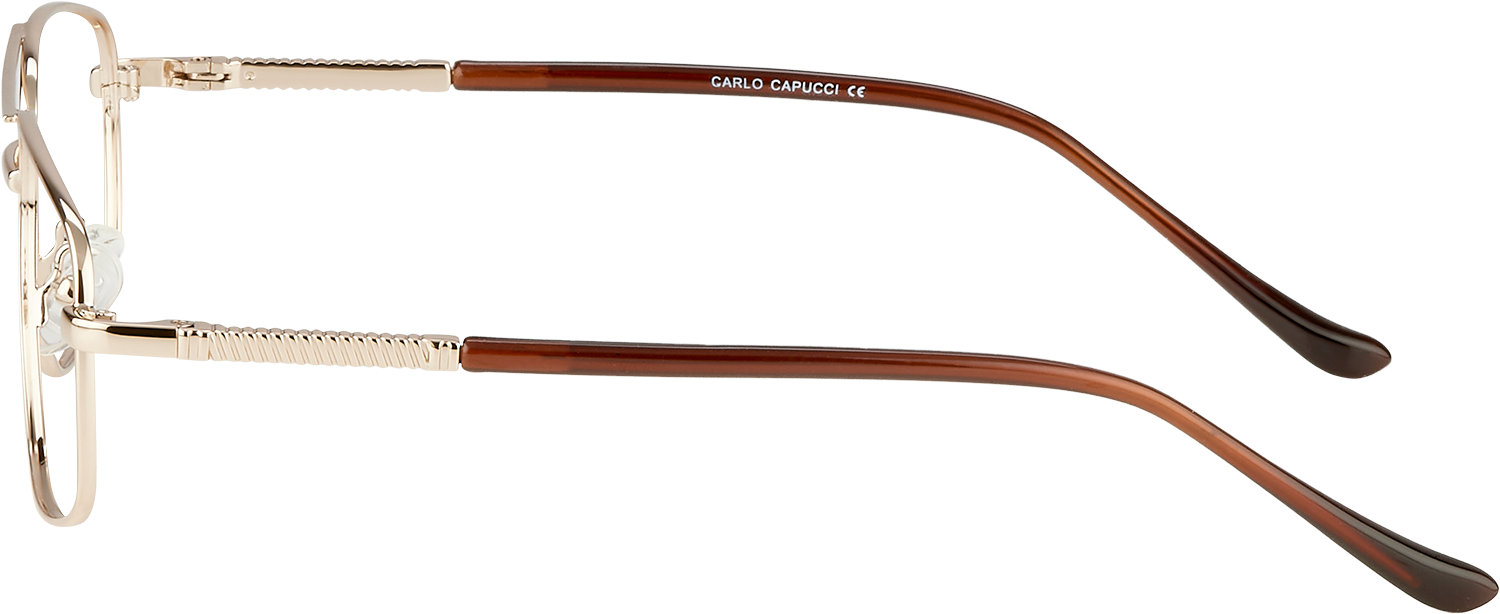 Lincoln Glasses by 39DollarGlasses.com
