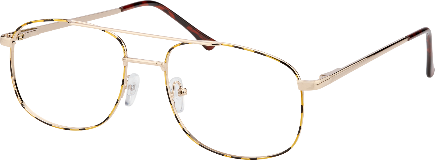 Jarvis Glasses by 39DollarGlasses.com