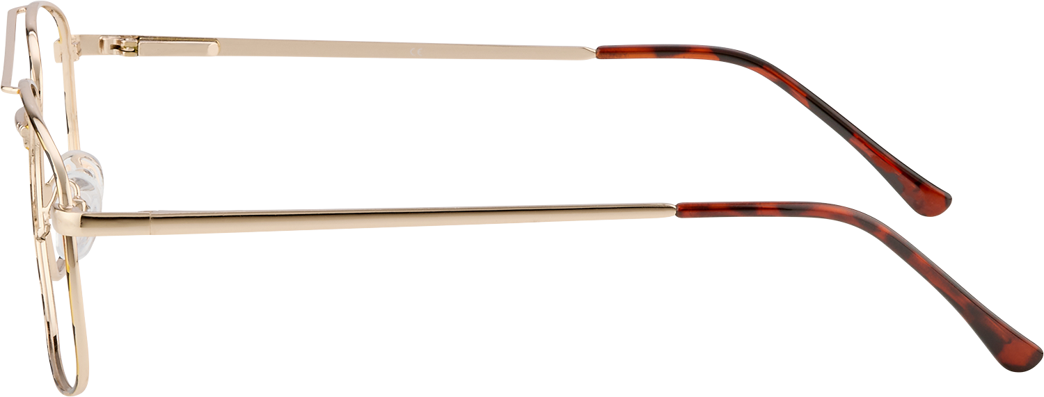 Jarvis Glasses by 39DollarGlasses.com