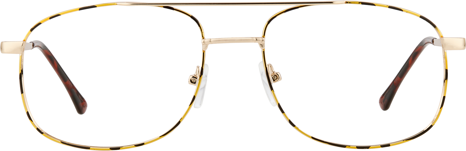 Jarvis Glasses by 39DollarGlasses.com