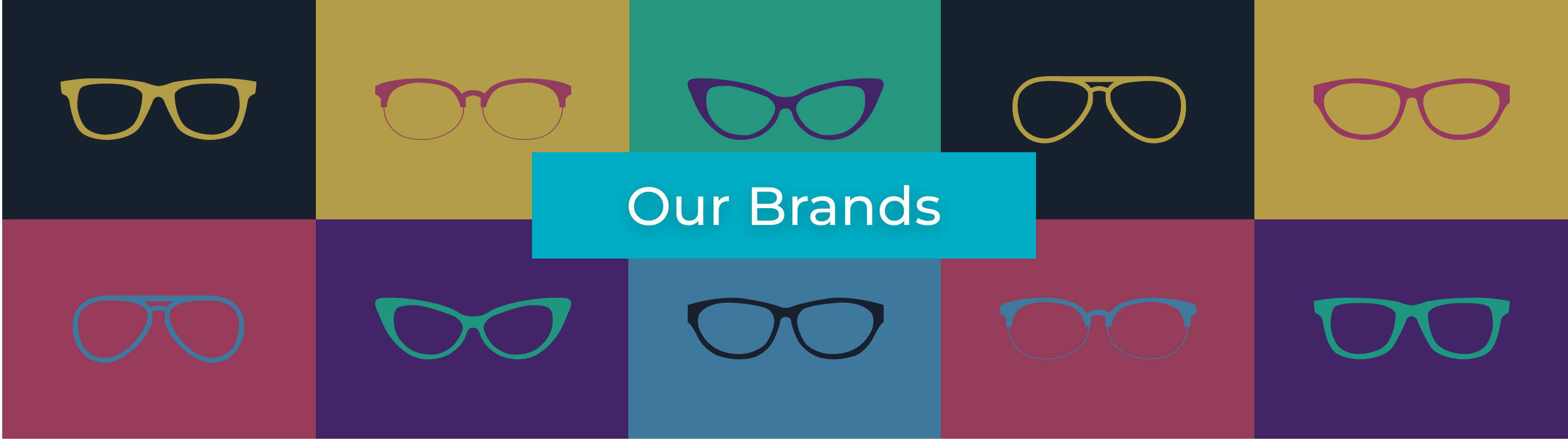 Our Brands | 39DollarGlasses